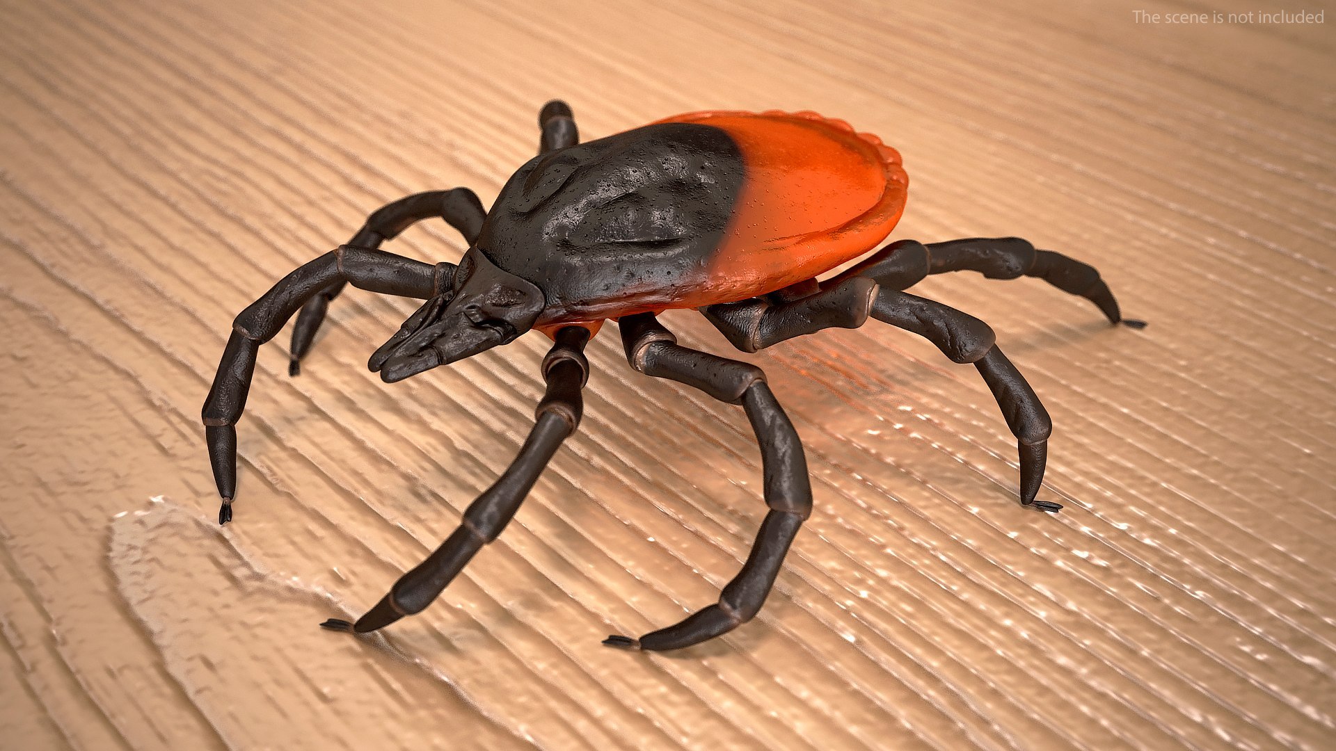 Parasites Rigged Collection For Cinema 4D 3D - TurboSquid 2513054