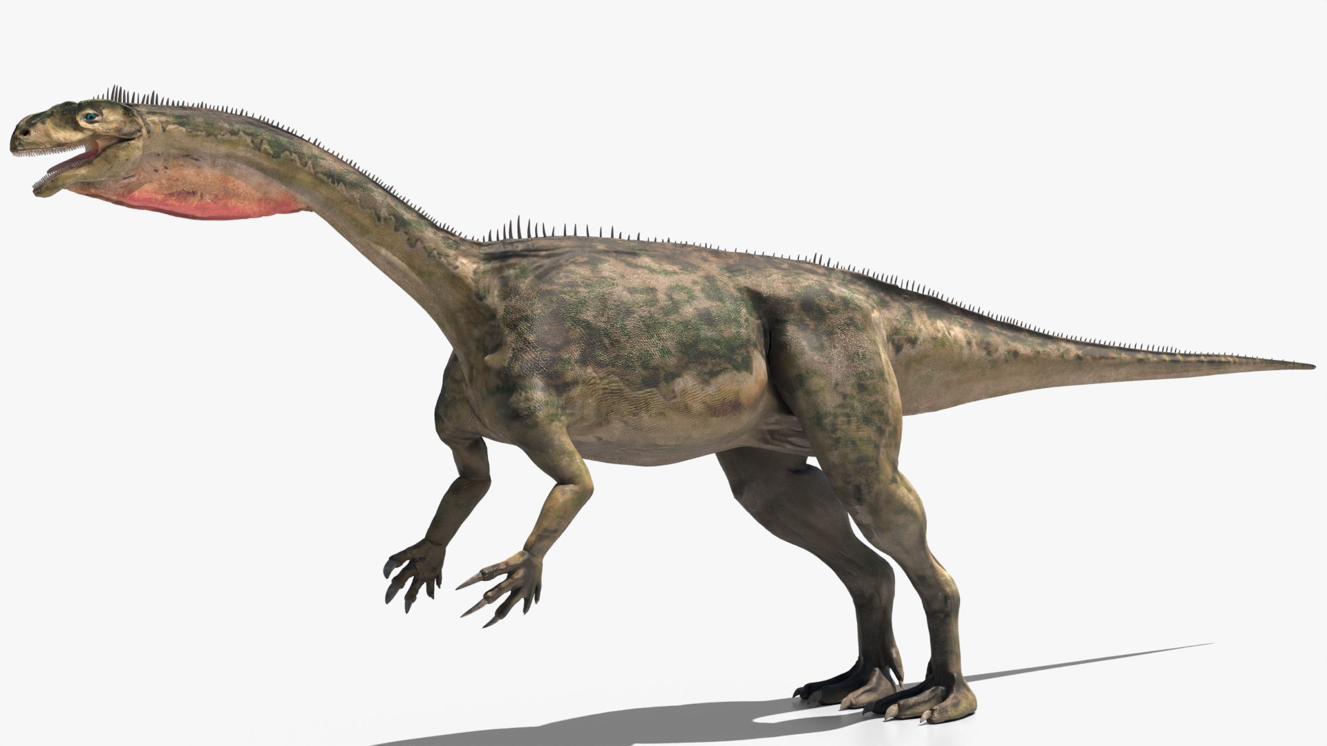 3D Model Unaysaurus Tolentinoi Male - TurboSquid 2017473