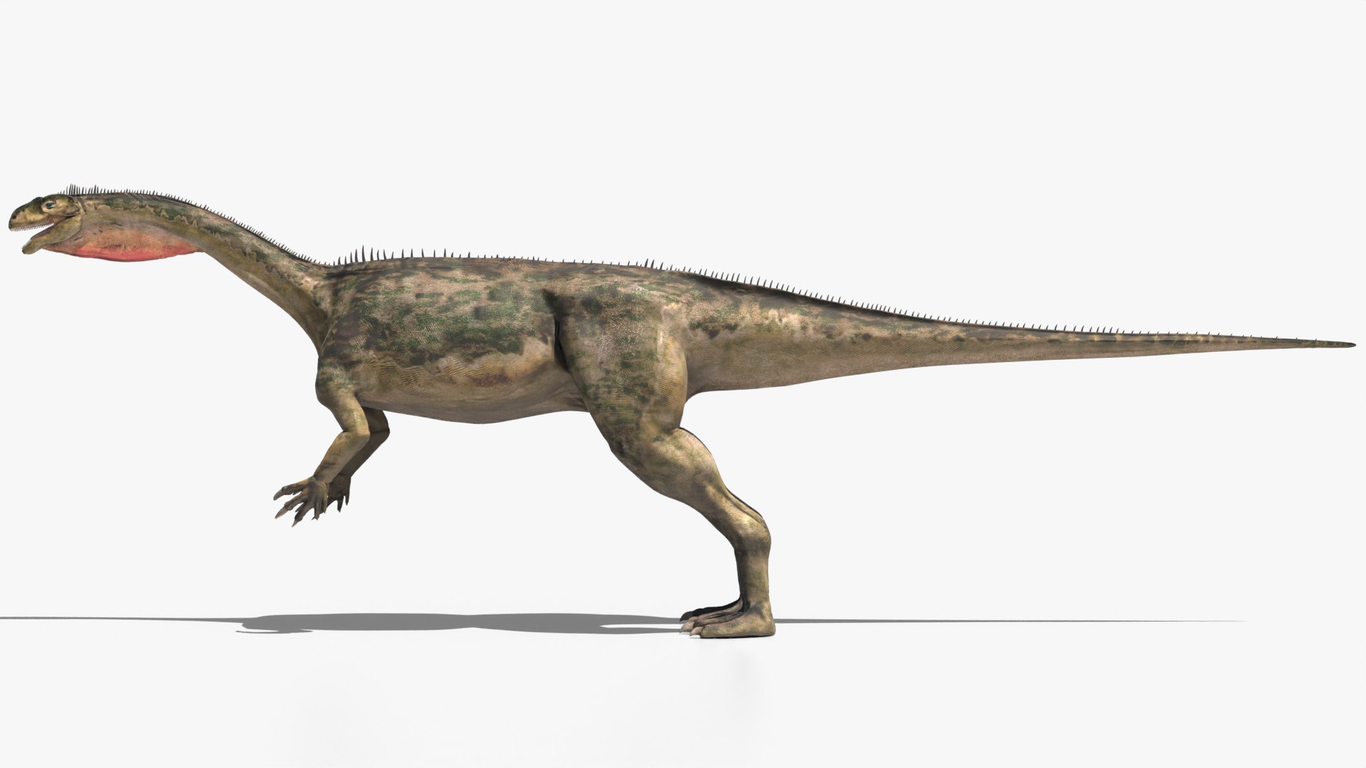 3D Model Unaysaurus Tolentinoi Male - TurboSquid 2017473