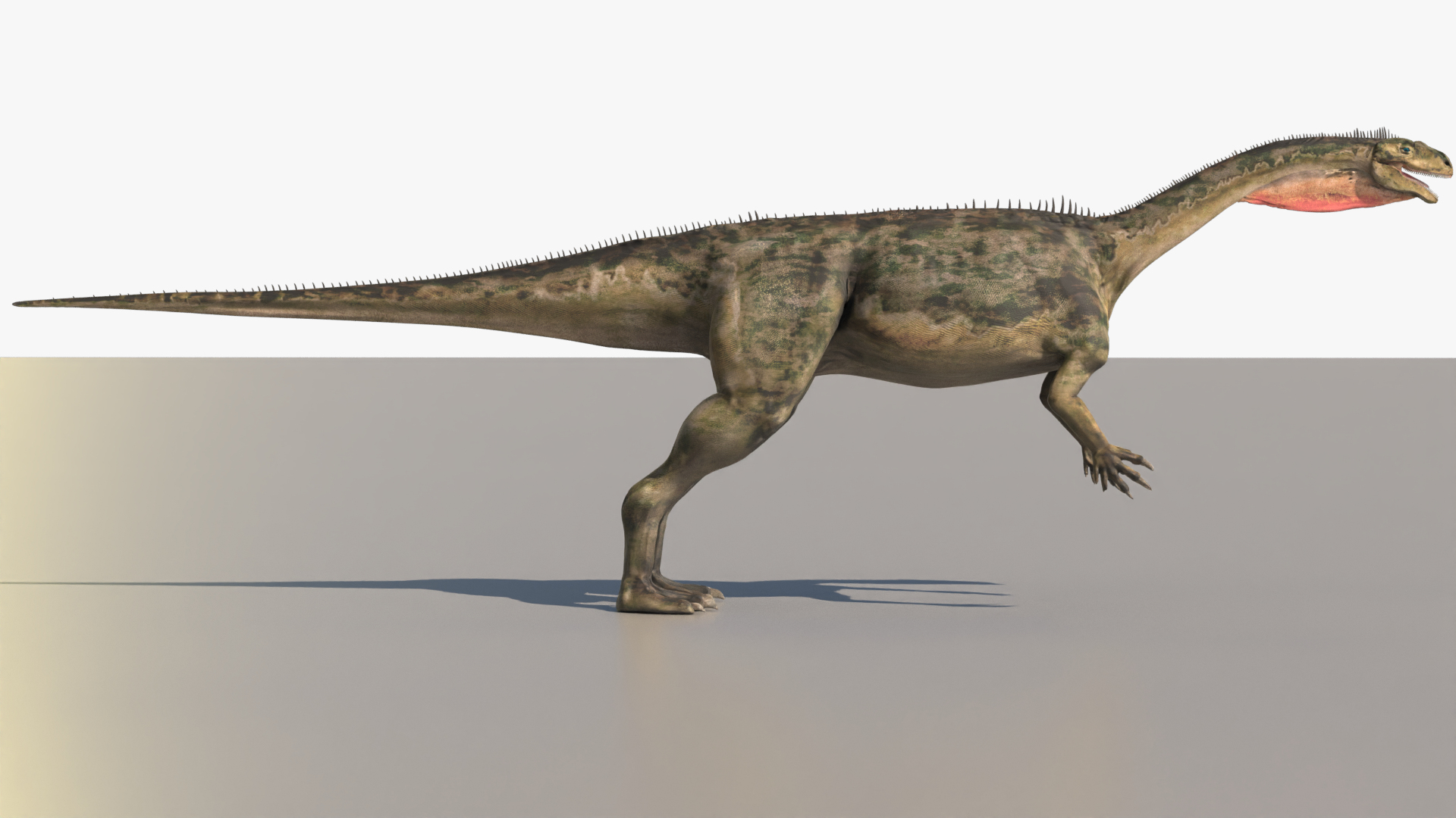 Unaysaurus tolentinoi male Modelo 3D - TurboSquid 2017473