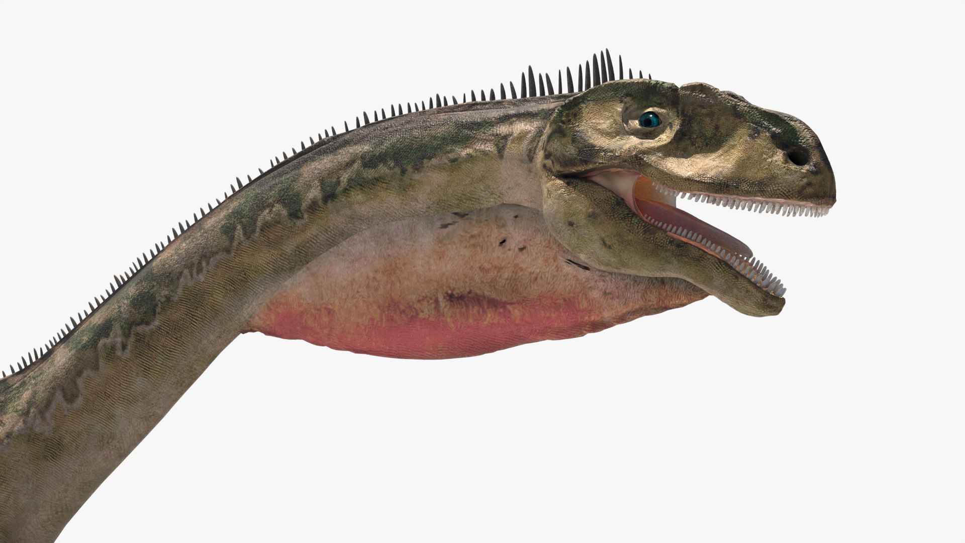 modelo 3d Unaysaurus tolentinoi - TurboSquid 2017473