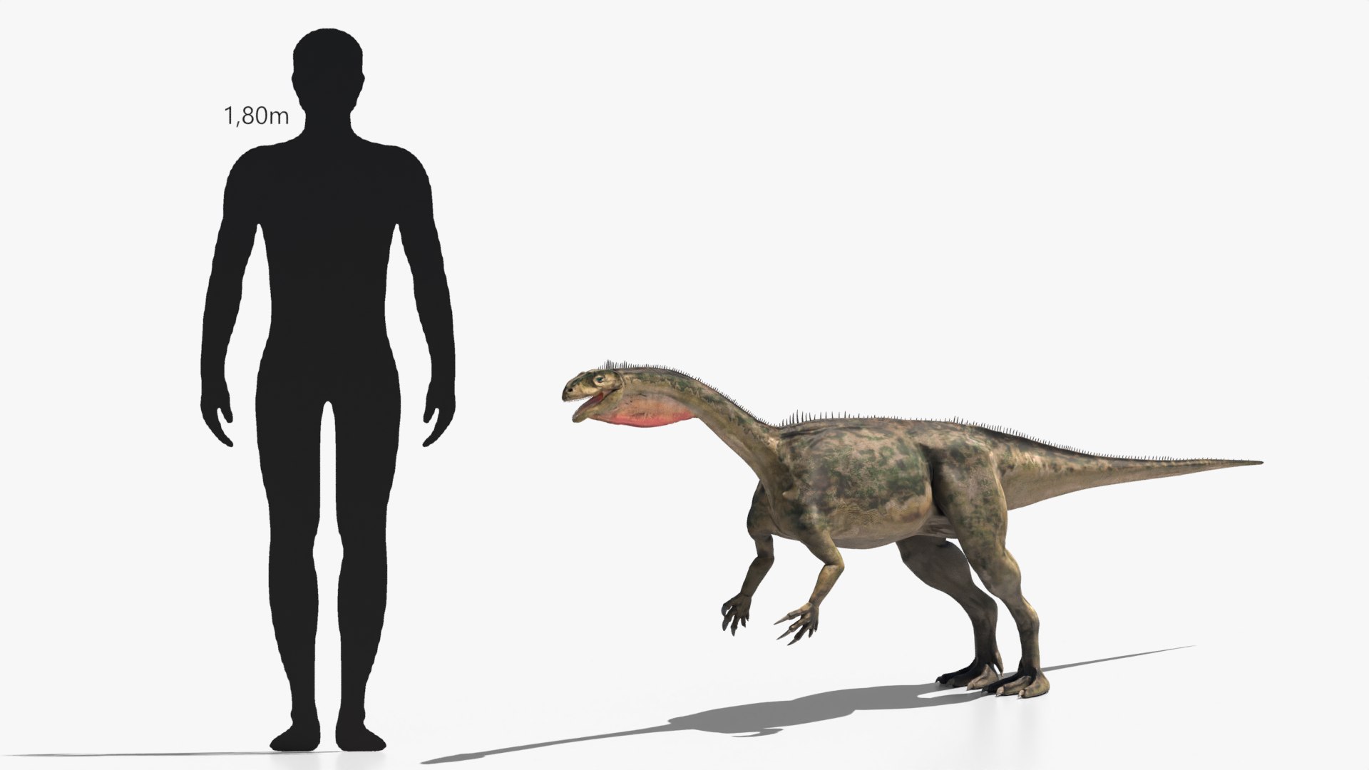 3D Model Unaysaurus Tolentinoi Male - TurboSquid 2017473