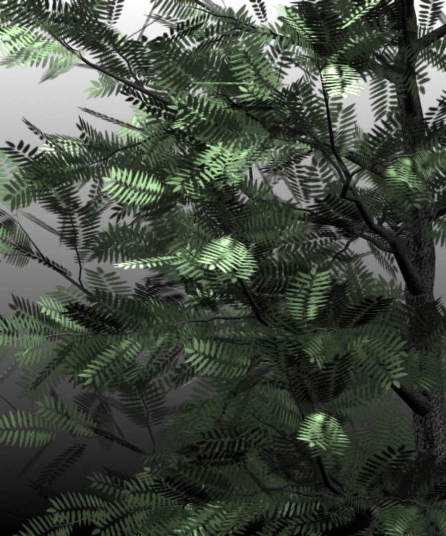 3d Model Honey Locust Trees