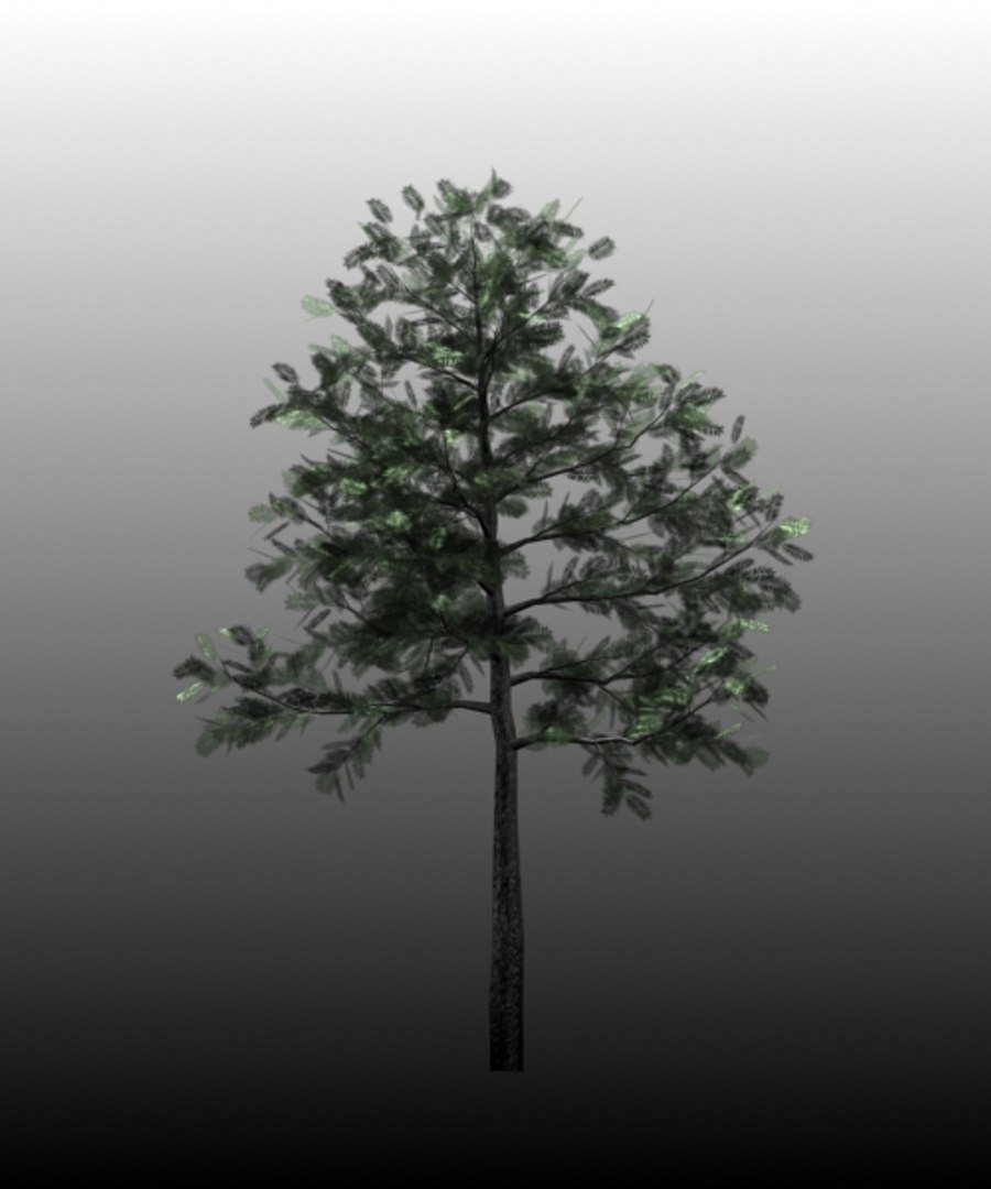 3d Model Honey Locust Trees