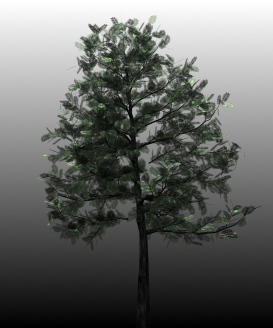 3d Model Honey Locust Trees