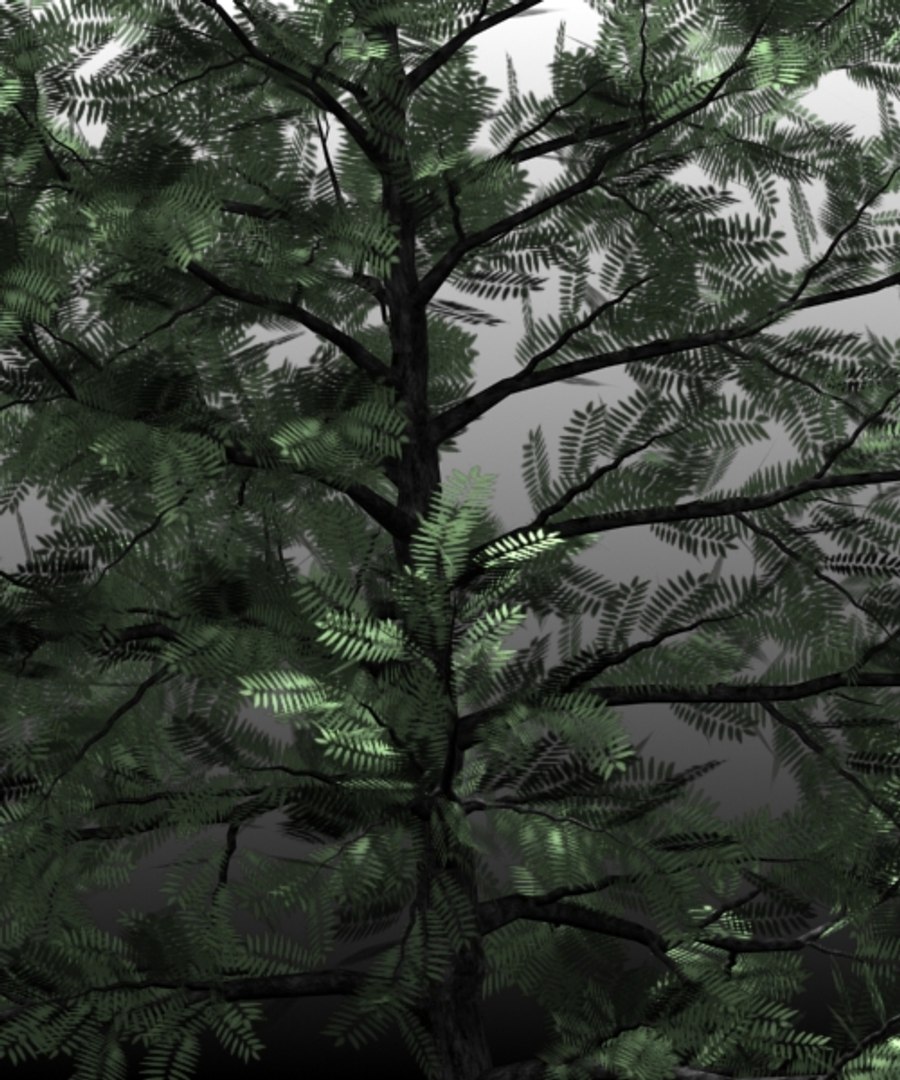3d Model Honey Locust Trees