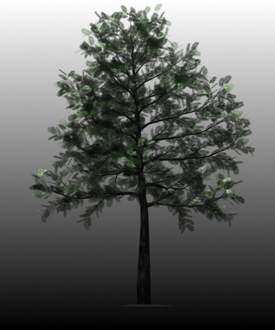 3d Model Honey Locust Trees