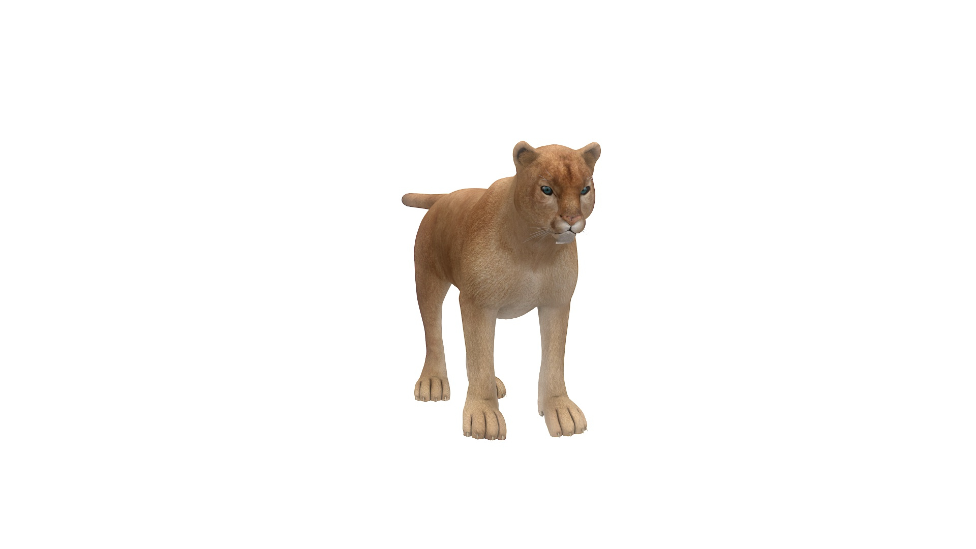 3D Puma Model - TurboSquid 2351506