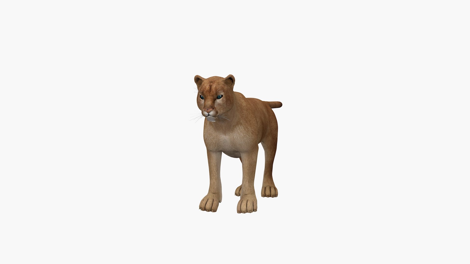 3D Puma Model - TurboSquid 2351506