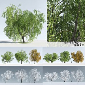 Free 3D Tree Archicad Models - Available For Download On TurboSquid