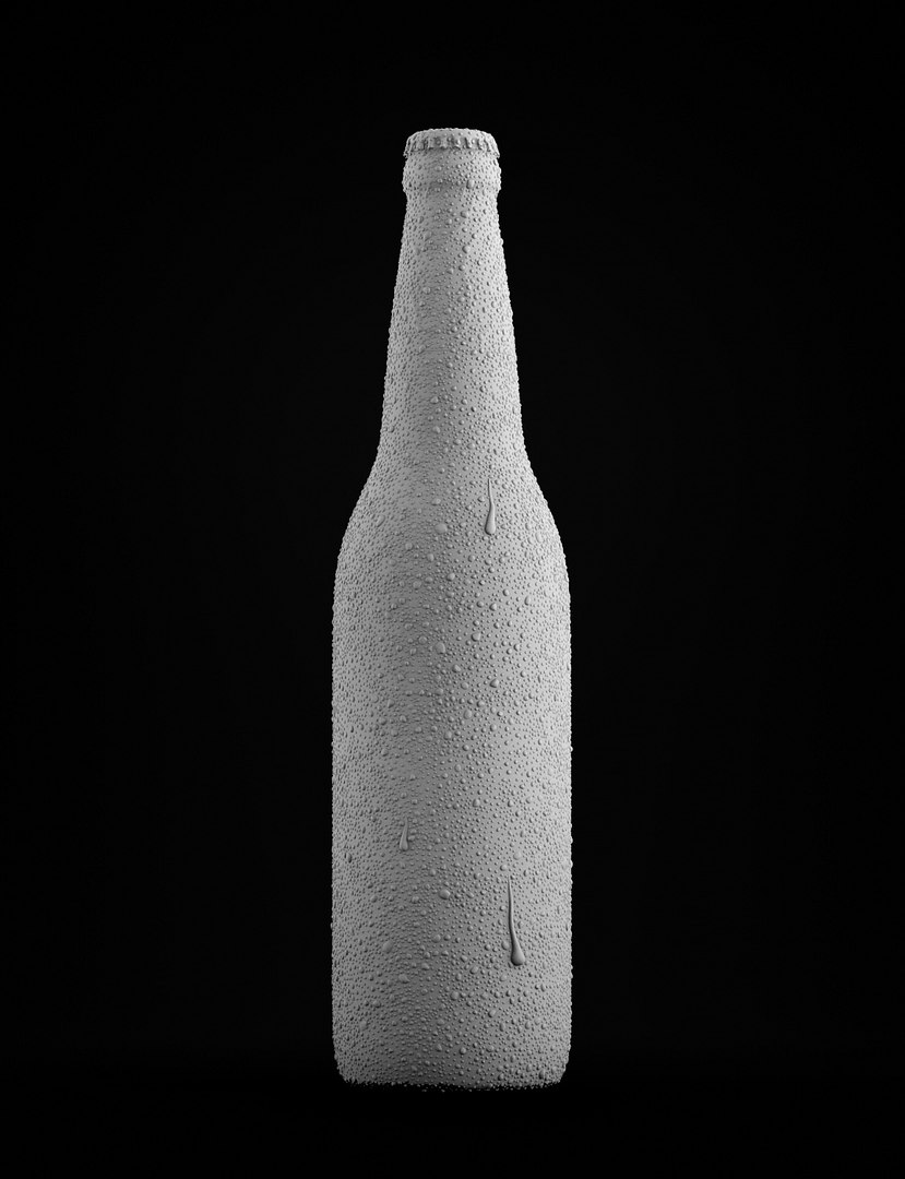 Beer Bottle Model - TurboSquid 1579119