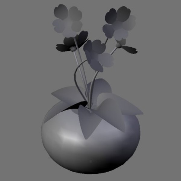 pink primrose flowering 3d obj