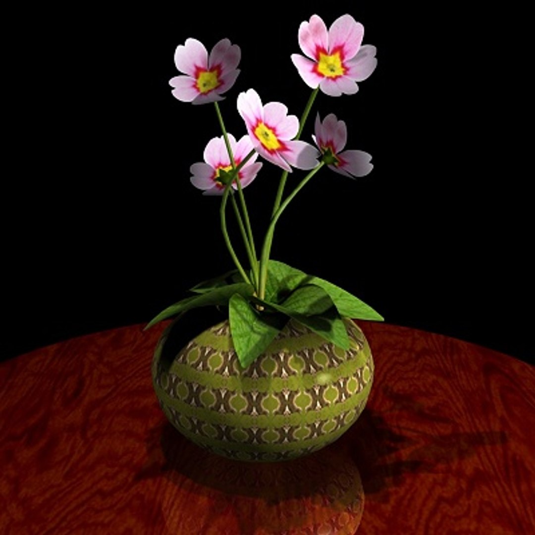 Pink Primrose Flowering 3d Obj