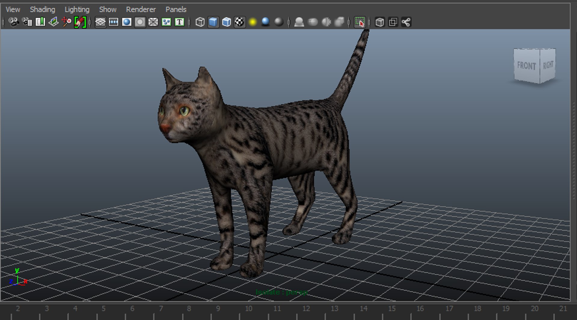 3D Model Cat Animations | 1142769 | TurboSquid