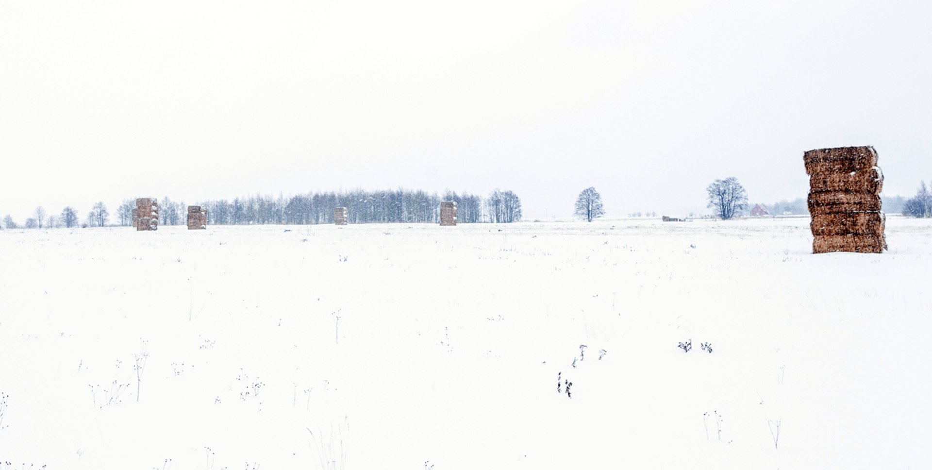 Sheaf Hay 16k 3d Obj