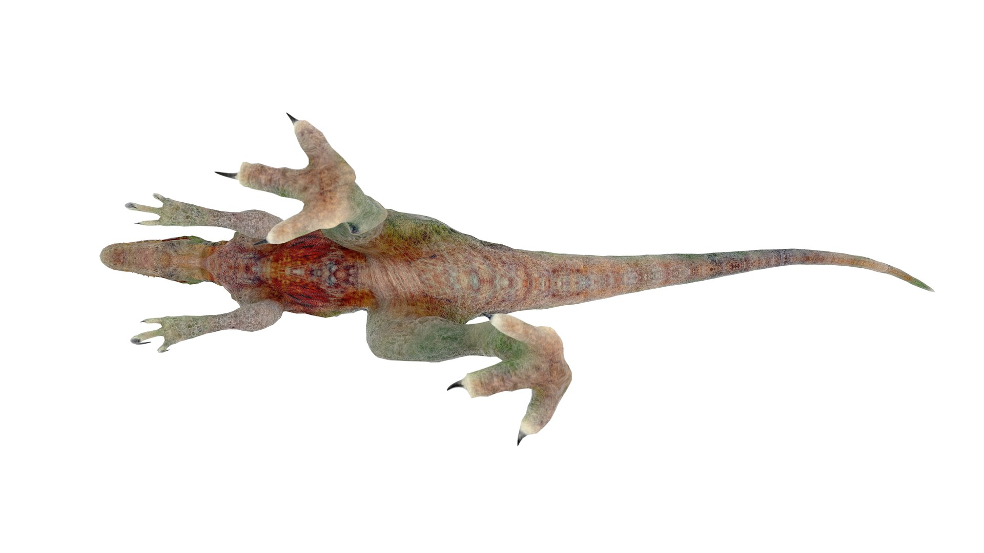 Allosaurus Animated 3D Model 3D Model - TurboSquid 2016777