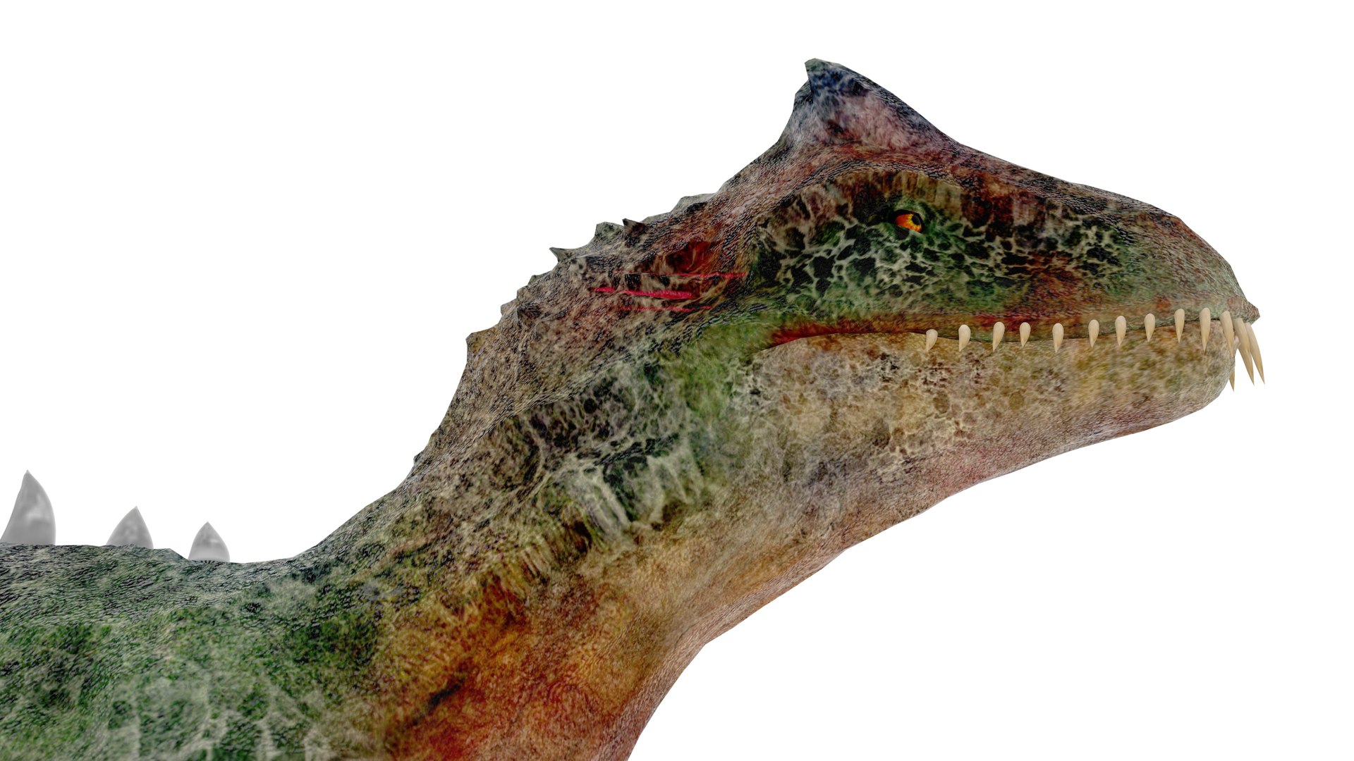 Allosaurus Animated 3D Model 3D Model - TurboSquid 2016777