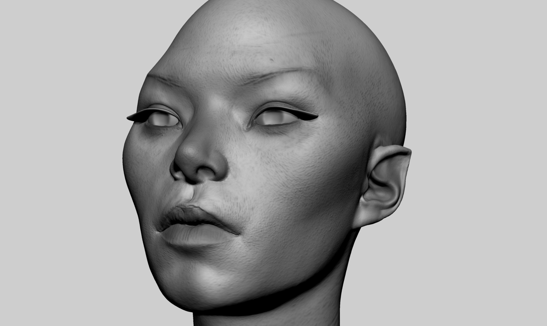 Female head anatomy 3D model - TurboSquid 1591203