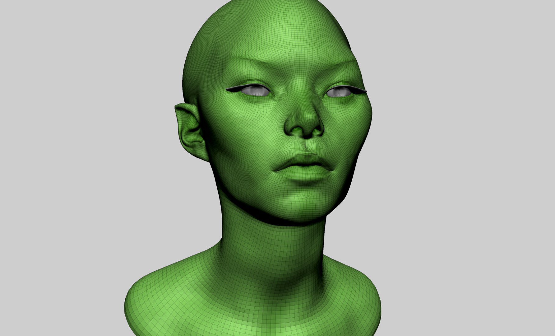 Female head anatomy 3D model - TurboSquid 1591203