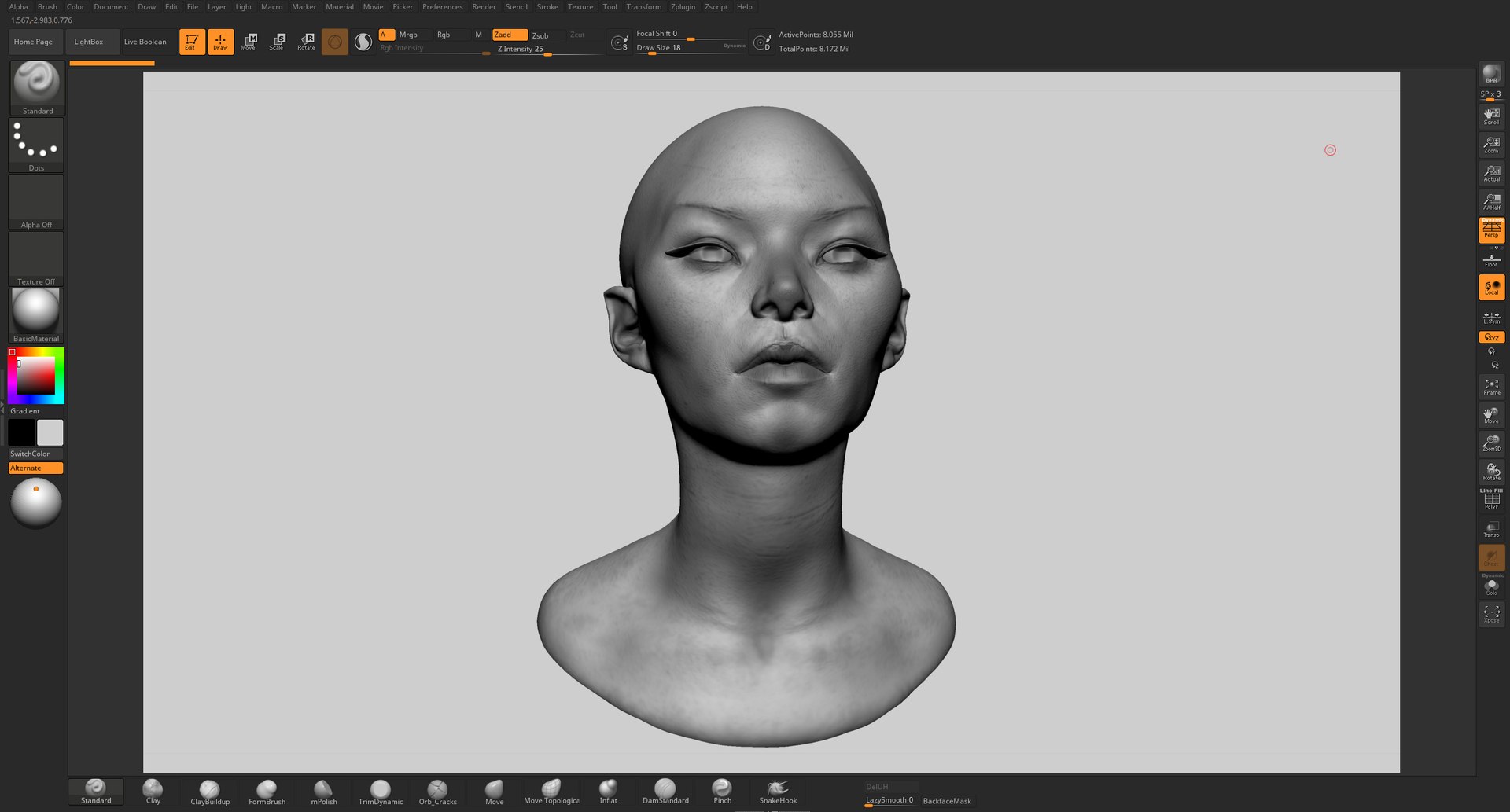 Female head anatomy 3D model - TurboSquid 1591203