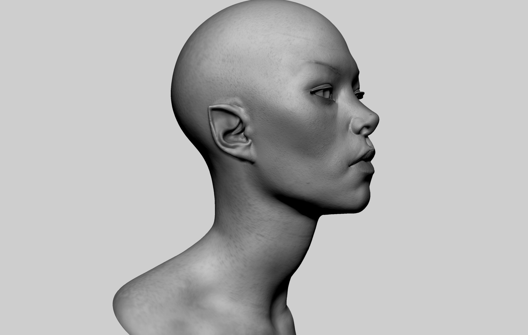 Female head anatomy 3D model - TurboSquid 1591203