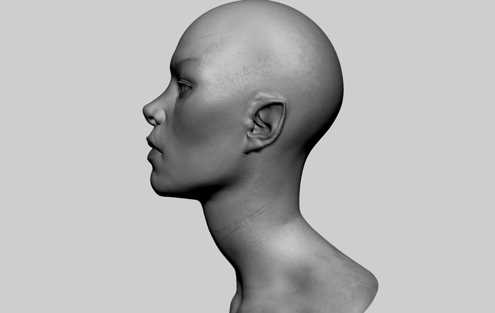 Female head anatomy 3D model - TurboSquid 1591203
