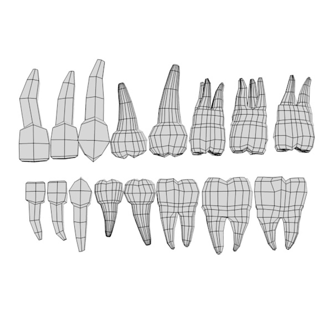 Maya Human Teeth