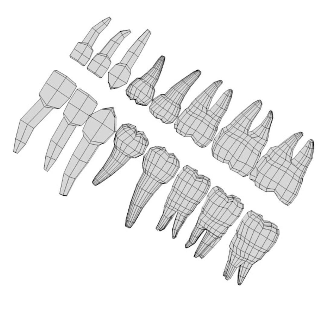 Maya Human Teeth