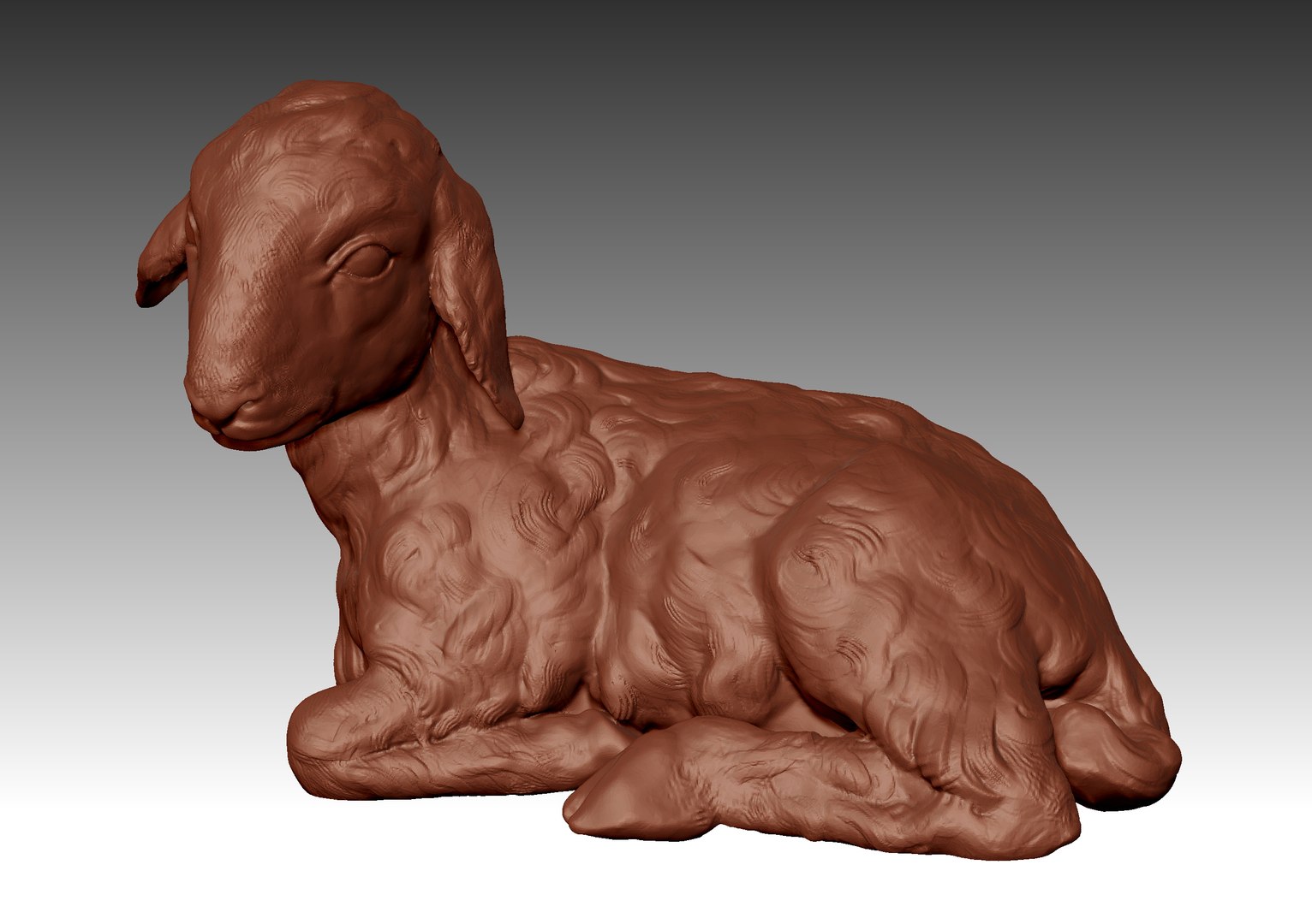 3D Lamb Sheep Model - TurboSquid 1855789
