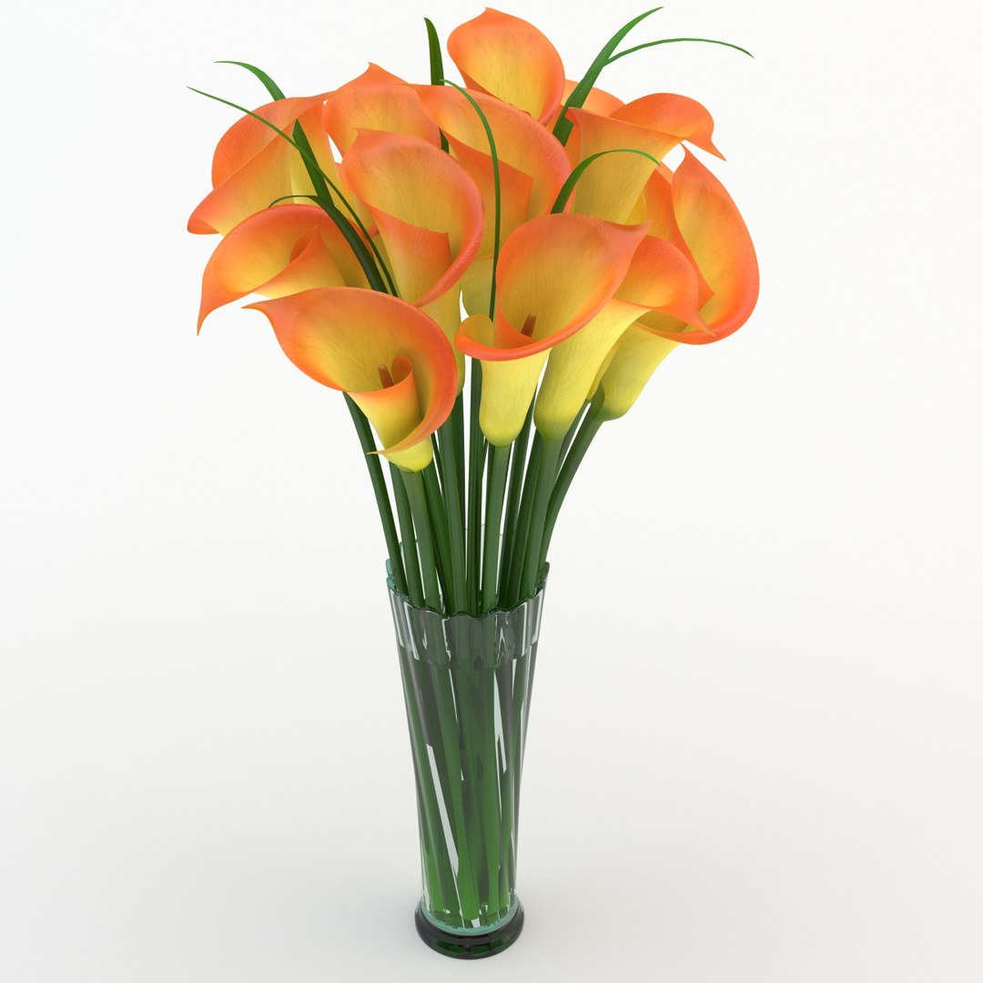 Calla Yellow 3d Model