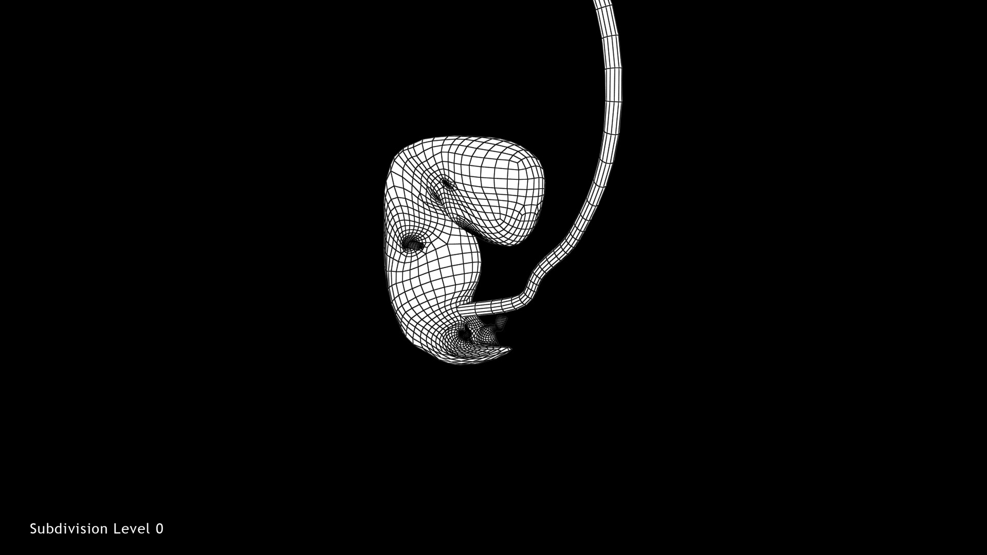 6 Weeks Human Fetus 3D Model - TurboSquid 2036598