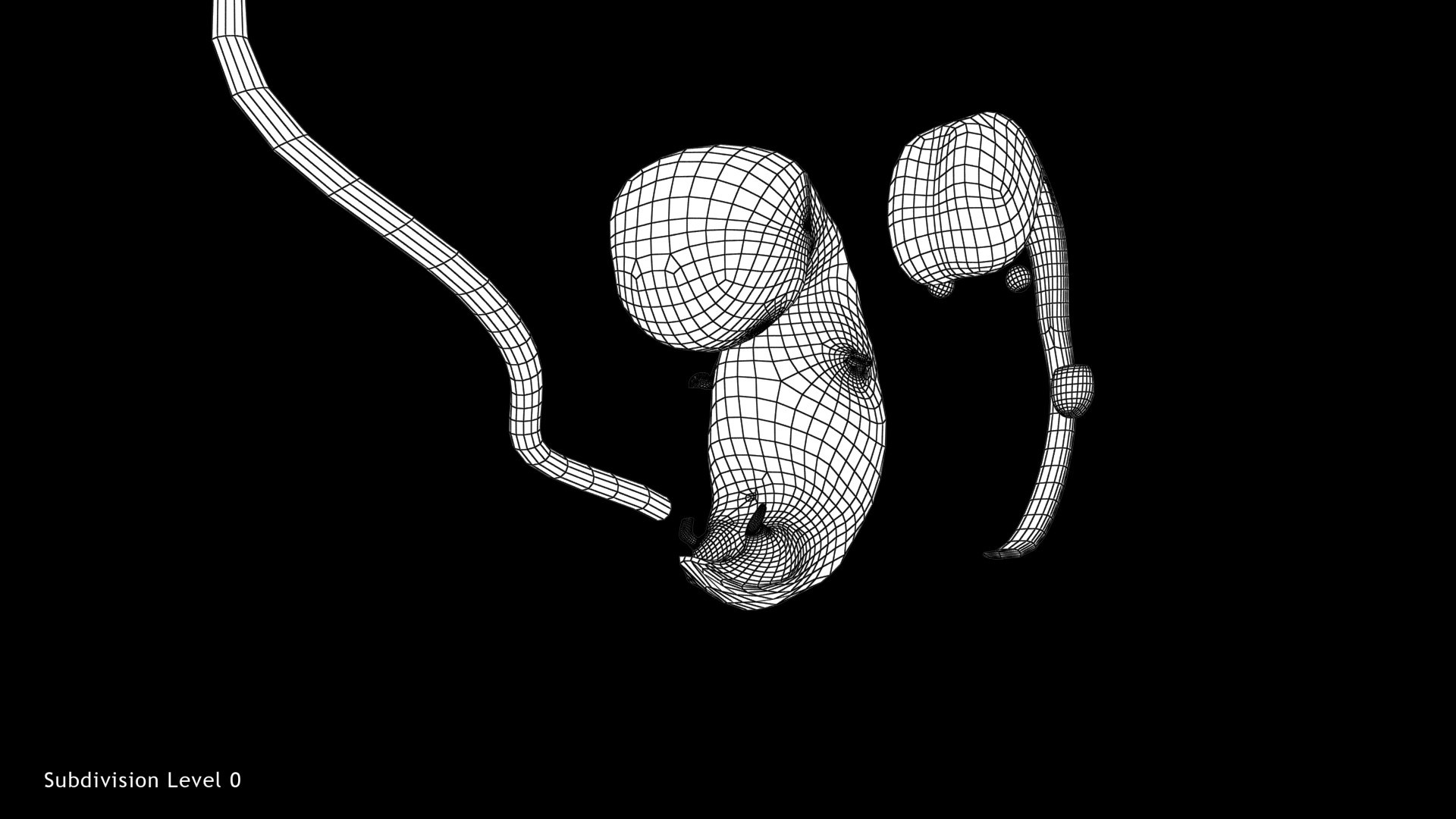 6 Weeks Human Fetus 3D Model - TurboSquid 2036598