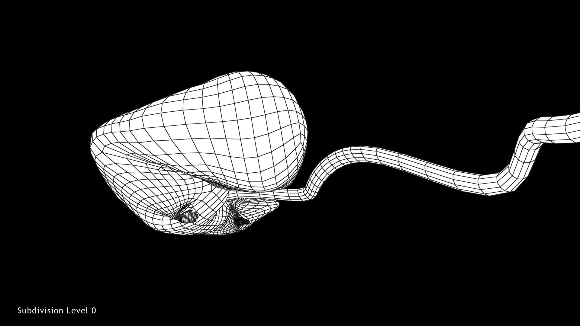 6 Weeks Human Fetus 3D Model - TurboSquid 2036598