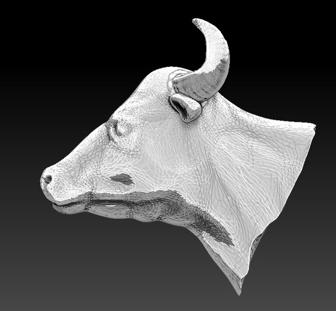 Bull Head 3d Obj