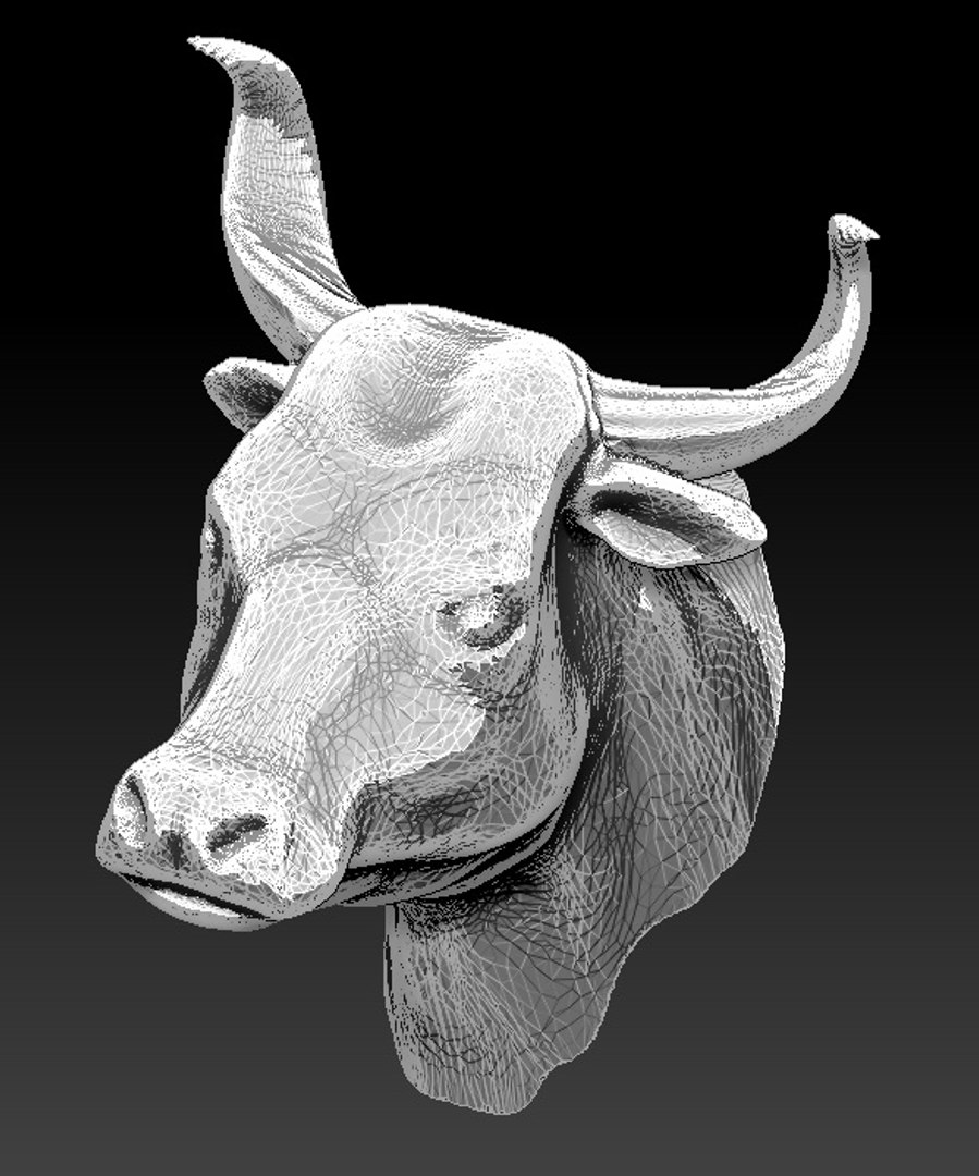 Bull Head 3d Obj