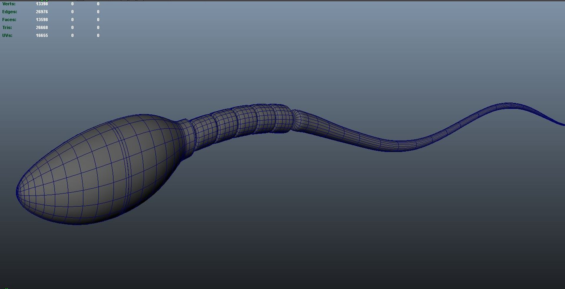 Sperm cell 3D model | 1144621 | TurboSquid
