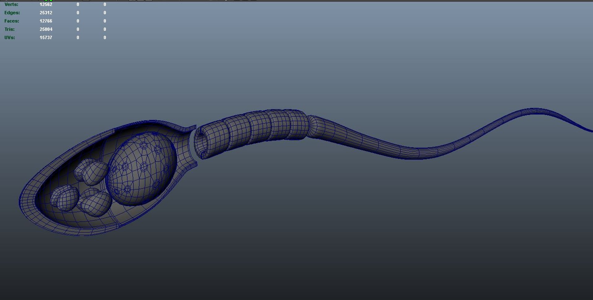 Sperm cell 3D model | 1144621 | TurboSquid