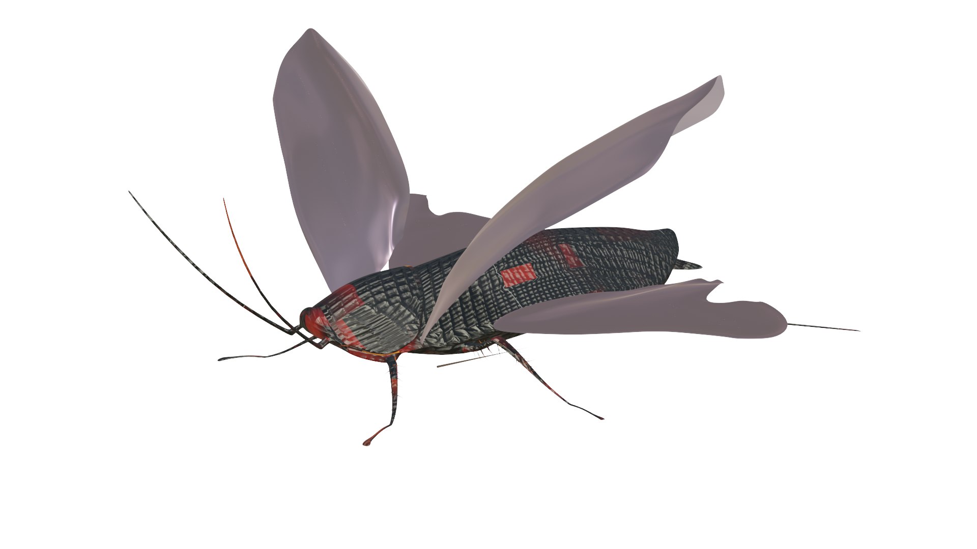 Cockroach 3D - TurboSquid 1925584