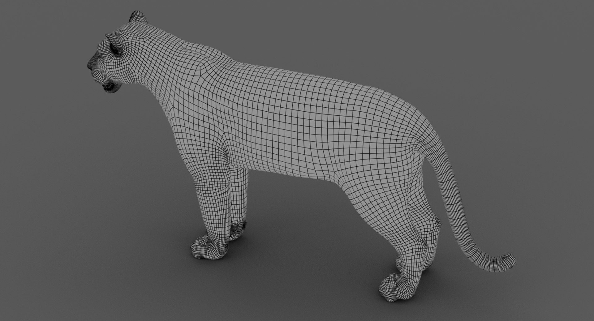 Tiger Rigged Fur Model - TurboSquid 1396777