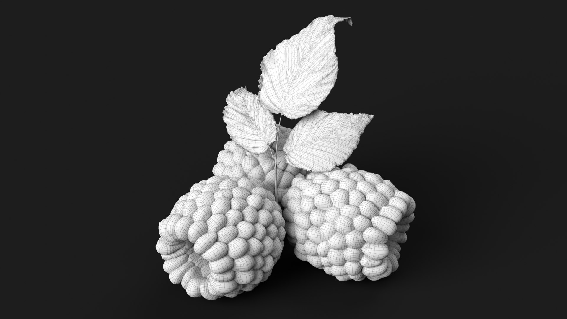3D Raspberries - TurboSquid 2122550