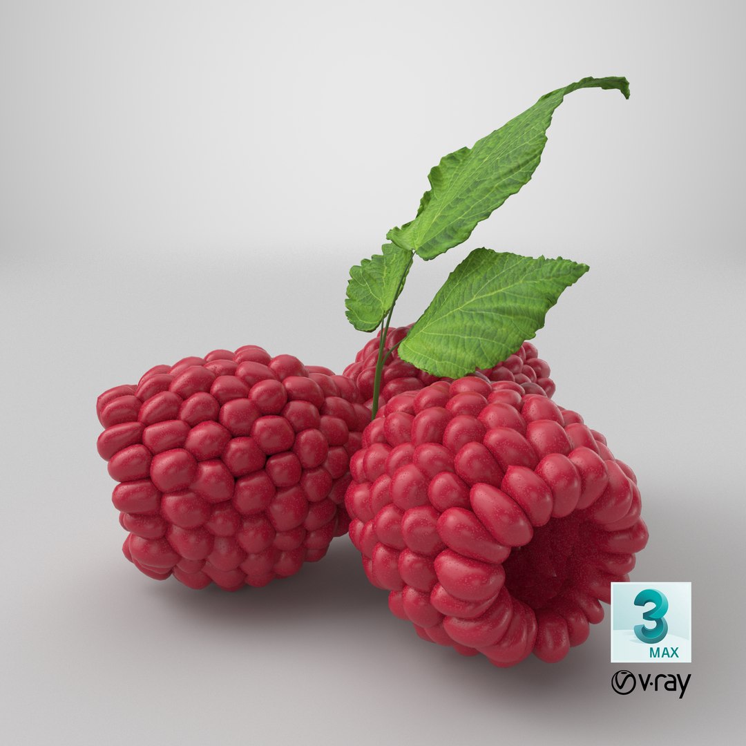 3D Raspberries - TurboSquid 2122550