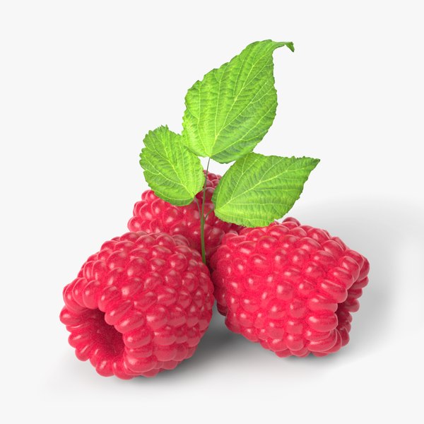 Raspberry 3D Models for Download | TurboSquid