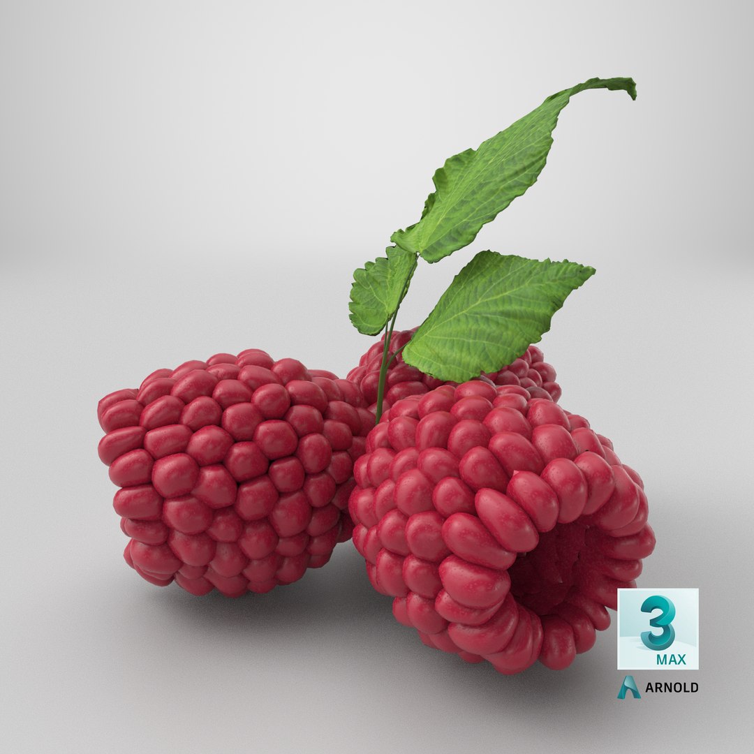 3D Raspberries - TurboSquid 2122550
