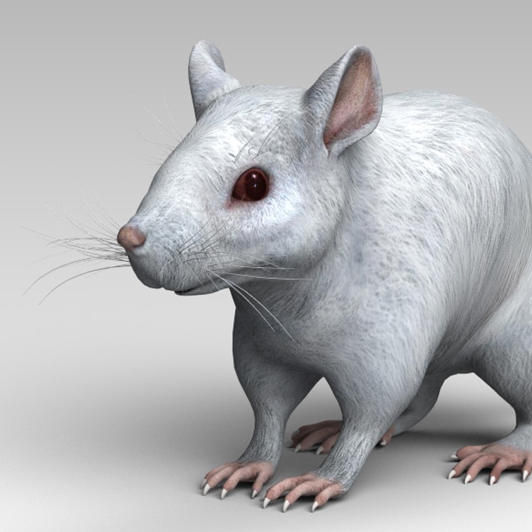 White Mouse Max