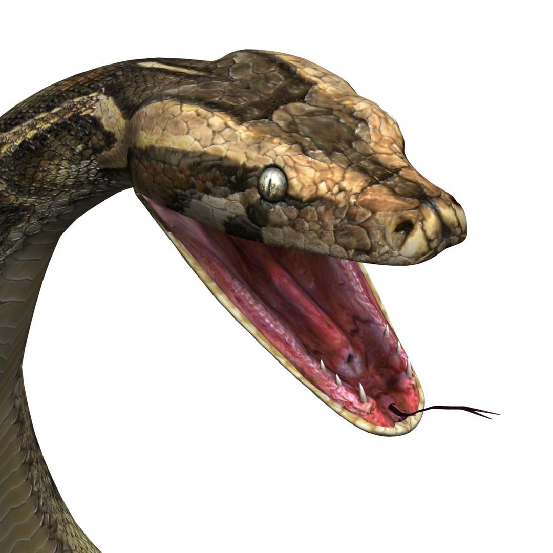 3ds max reptile snake python