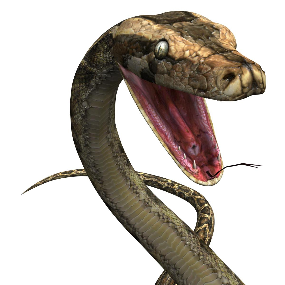 3ds max reptile snake python