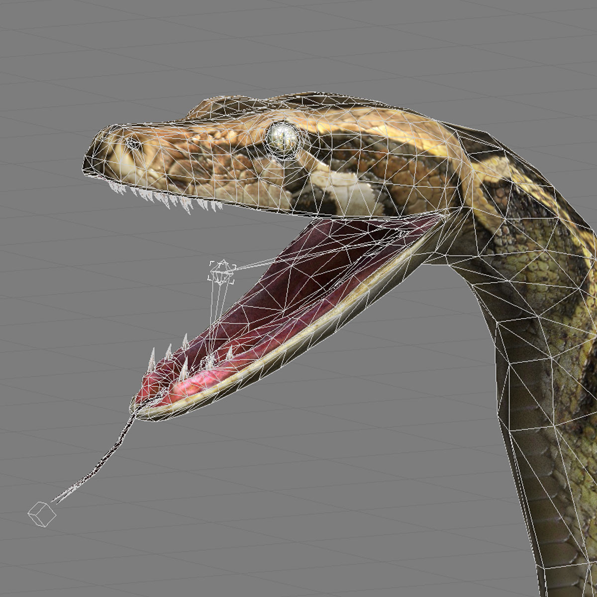3ds max reptile snake python