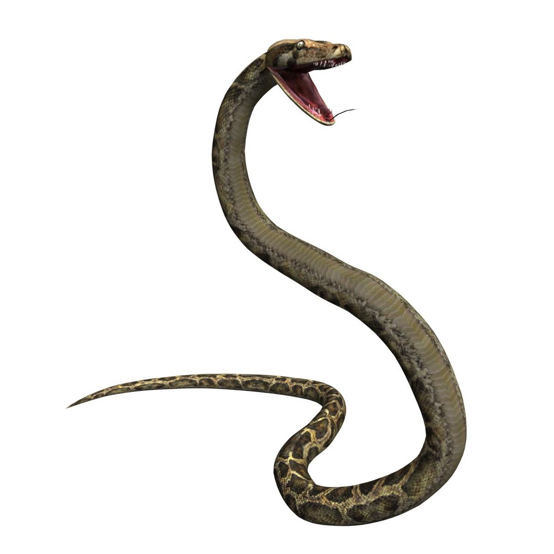 3ds max reptile snake python