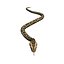 3ds max reptile snake python