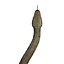 3ds max reptile snake python